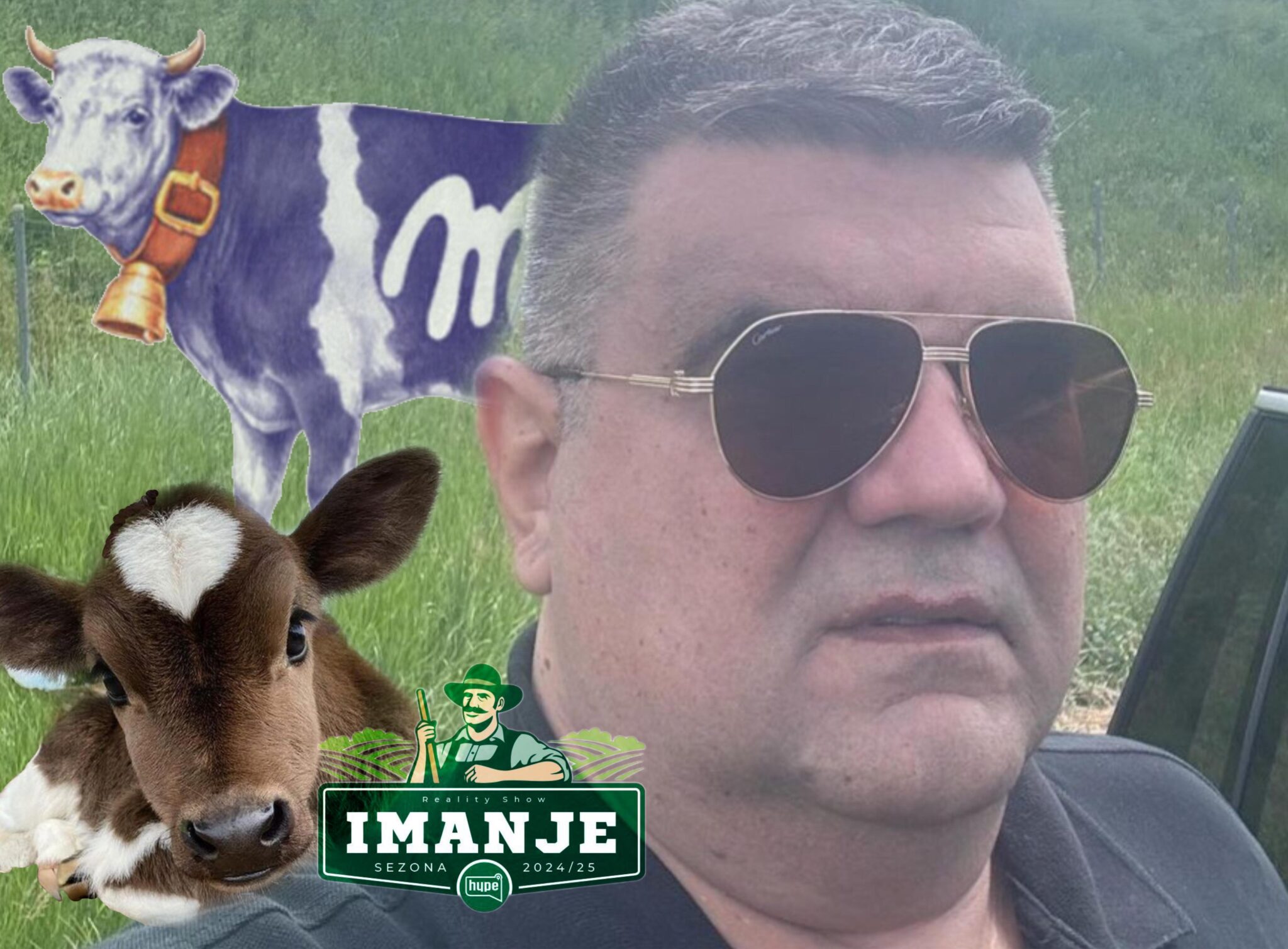 Krava Milka sa Alpa stiže na Imanje